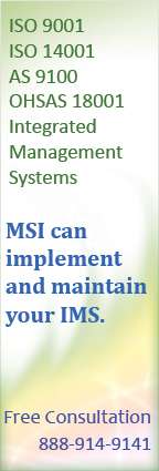 Integrating International Standards - Management Systems International ...